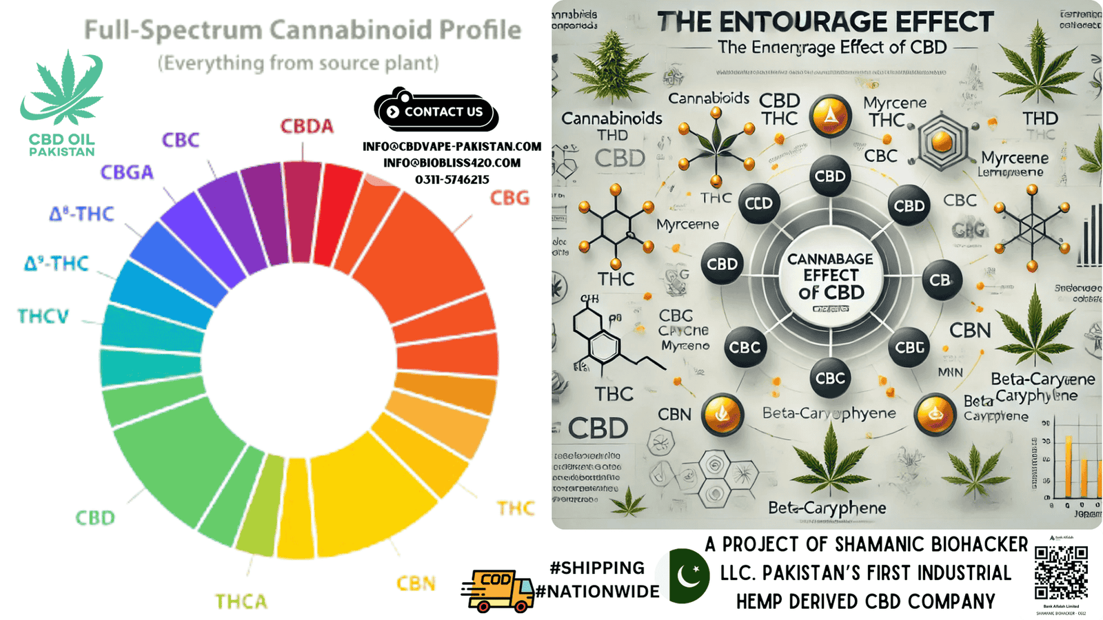 Understanding The Entourage Effect Of Full Spectrum CBD Oil